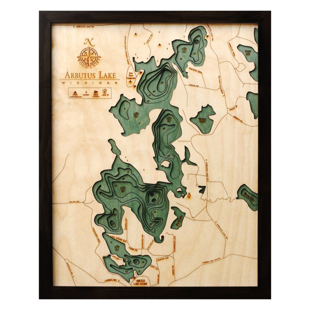 Arbutus Lake, Michigan 3D Wood Map, Nautical Chart, 16" x 20"