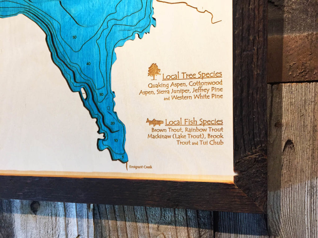 Caples Lake, CA 3-D Nautical Wood Map, 16" x 20"