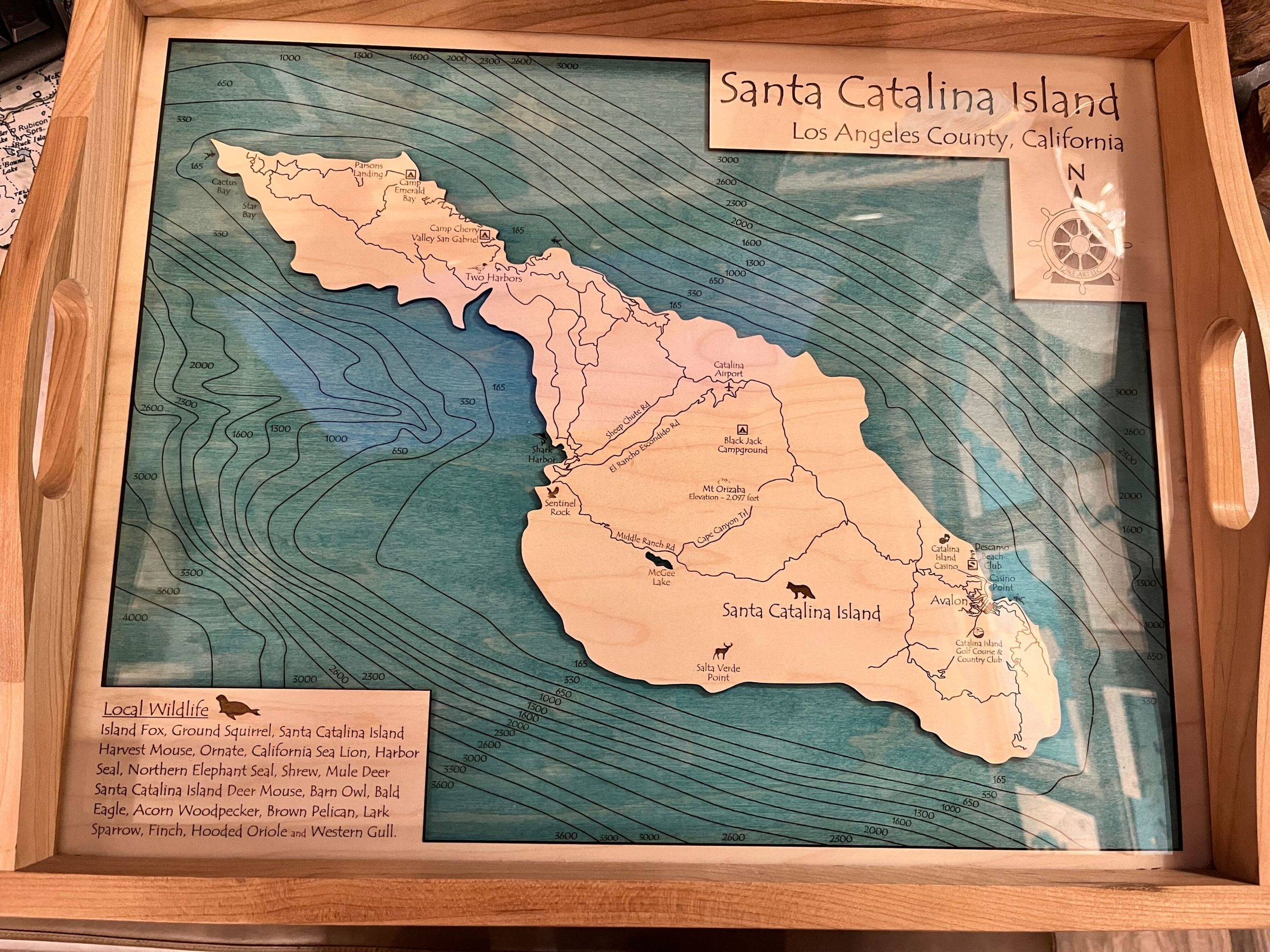 Santa Catalina Island, CA Nautical Wood Serving Tray