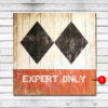 Vintage Ski Sign, Expert Only, Ski Resort Sign