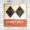 Vintage Ski Sign, Expert Only, Ski Resort Sign
