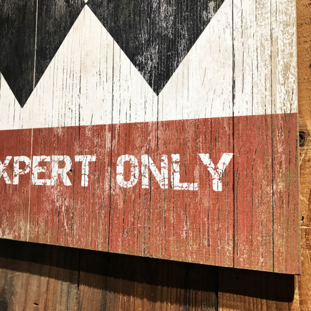 Vintage Ski Sign, Expert Only, Ski Resort Sign