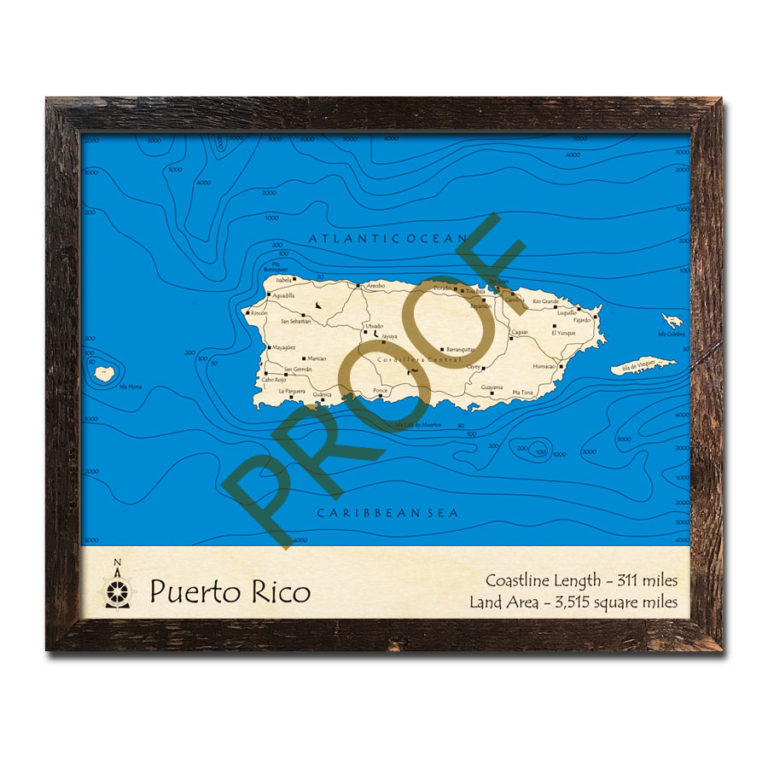 Ponce, Puerto Rico Wooden Street Map | Burnt Laser-Cut Wall Map