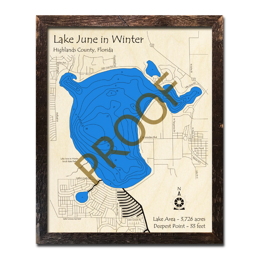 Lake June in Winter, FL Wood Map | 3D Topographic Wood Chart