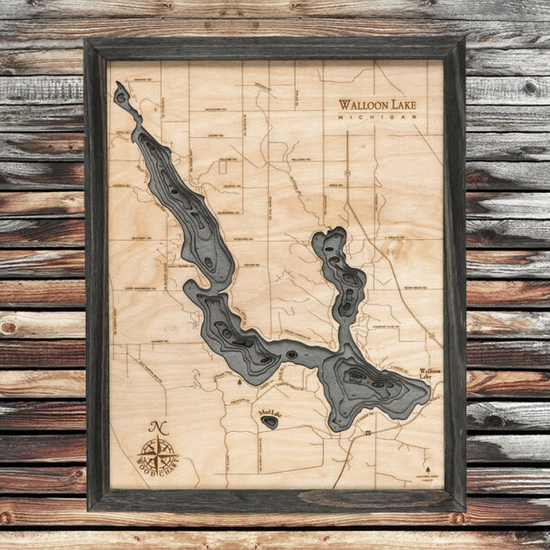 Devils Lake, MI 3D Wood Topo Map