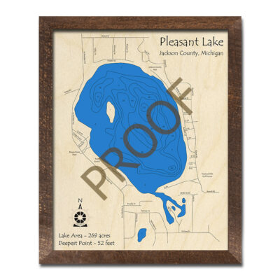 Pleasant Lake (Jackson County), MI 3D Wood Map | Michigan Nautical Wall Art