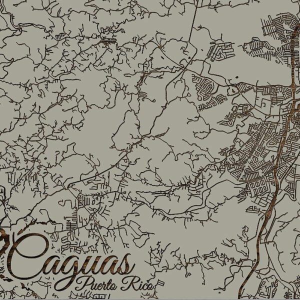 Caguas, Puerto Rico Wooden Street Map | Burnt Laser-Cut Wall Map