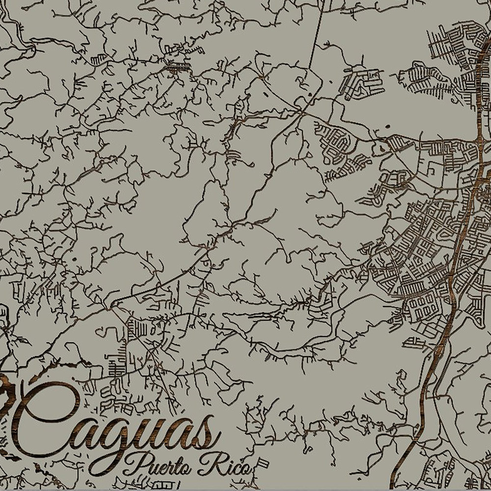 Caguas, Puerto Rico Wooden Street Map | Burnt Laser-Cut Wall Map